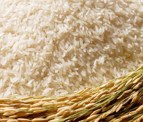 Indian Rice - Rice